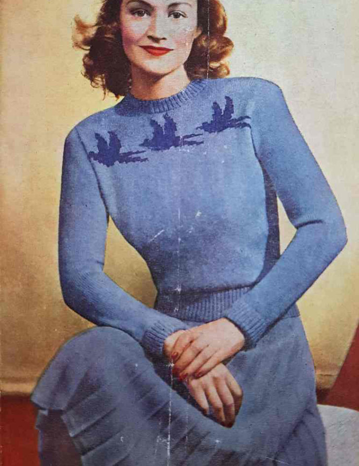 Blue Bird Jumper Pattern - KnitCraft